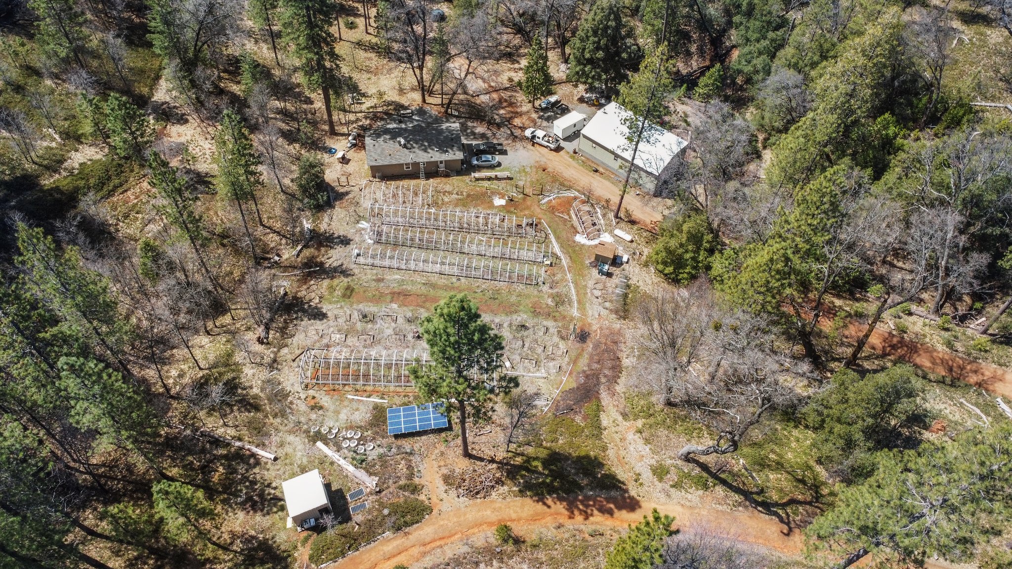 1150 Hubbard Rd, Sheep Ranch CA 95246 | Golden Thorn Photography