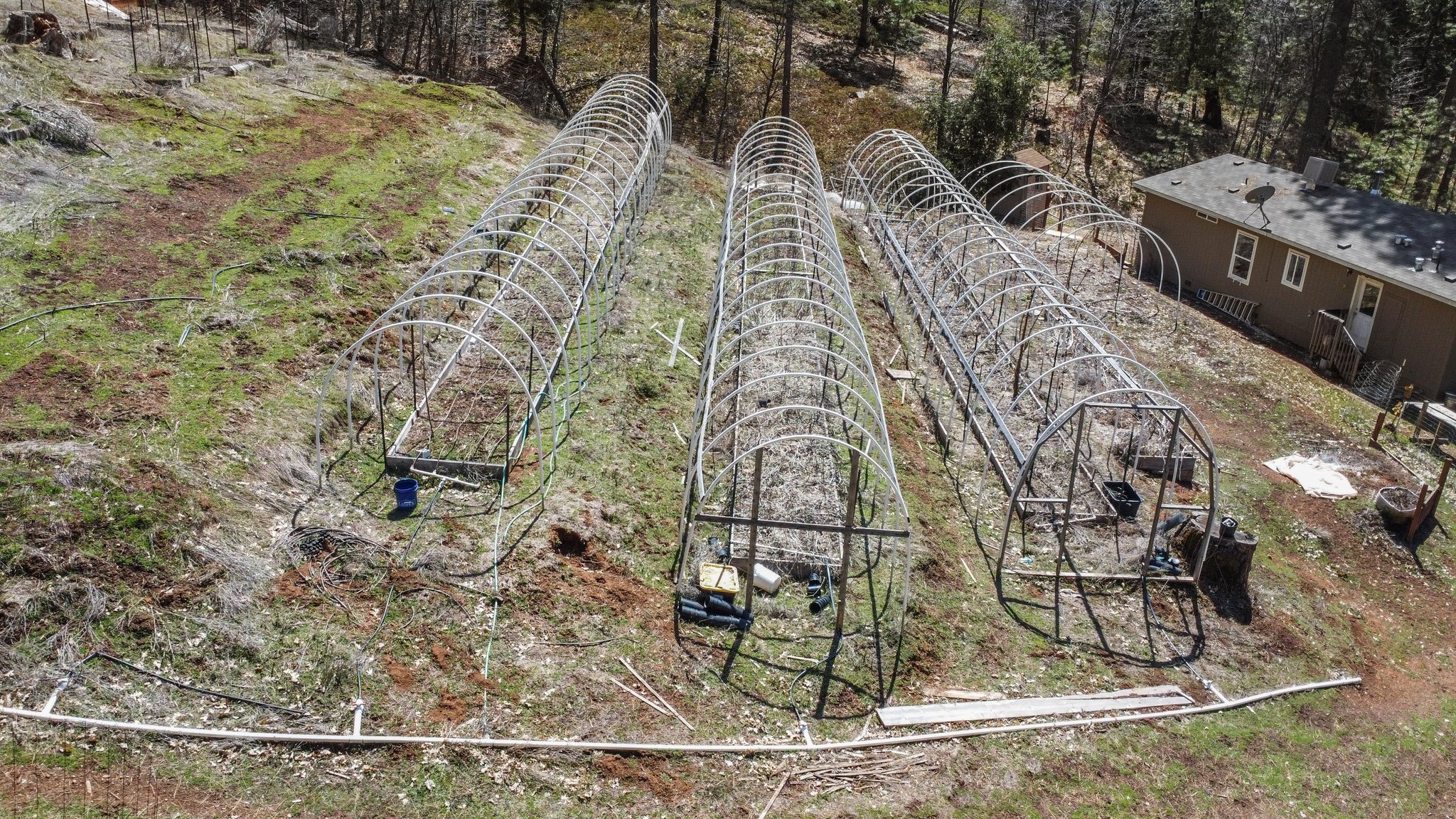 1150 Hubbard Rd, Sheep Ranch CA 95246 | Golden Thorn Photography