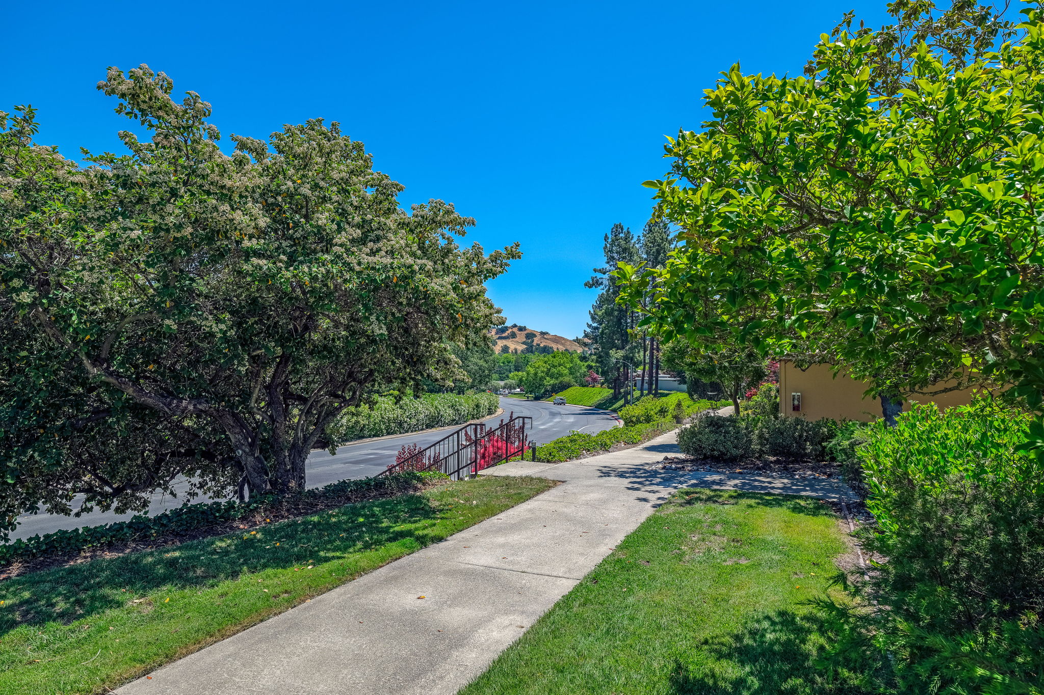 1315 Golden Rain Rd 3, Walnut Creek, CA 94595 | ALL ACCESS PHOTO