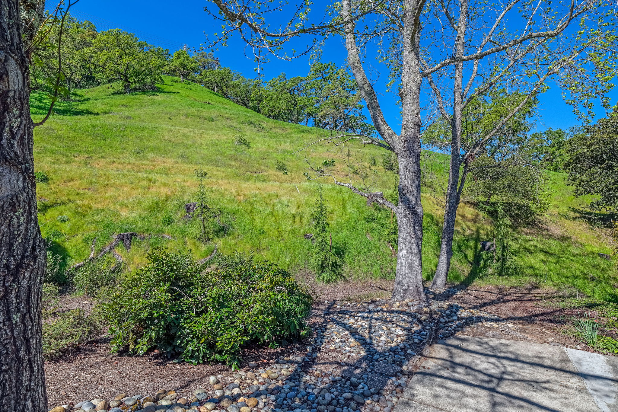 1459 Rockledge Ln 4, Walnut Creek, CA 94595 | ALL ACCESS PHOTO