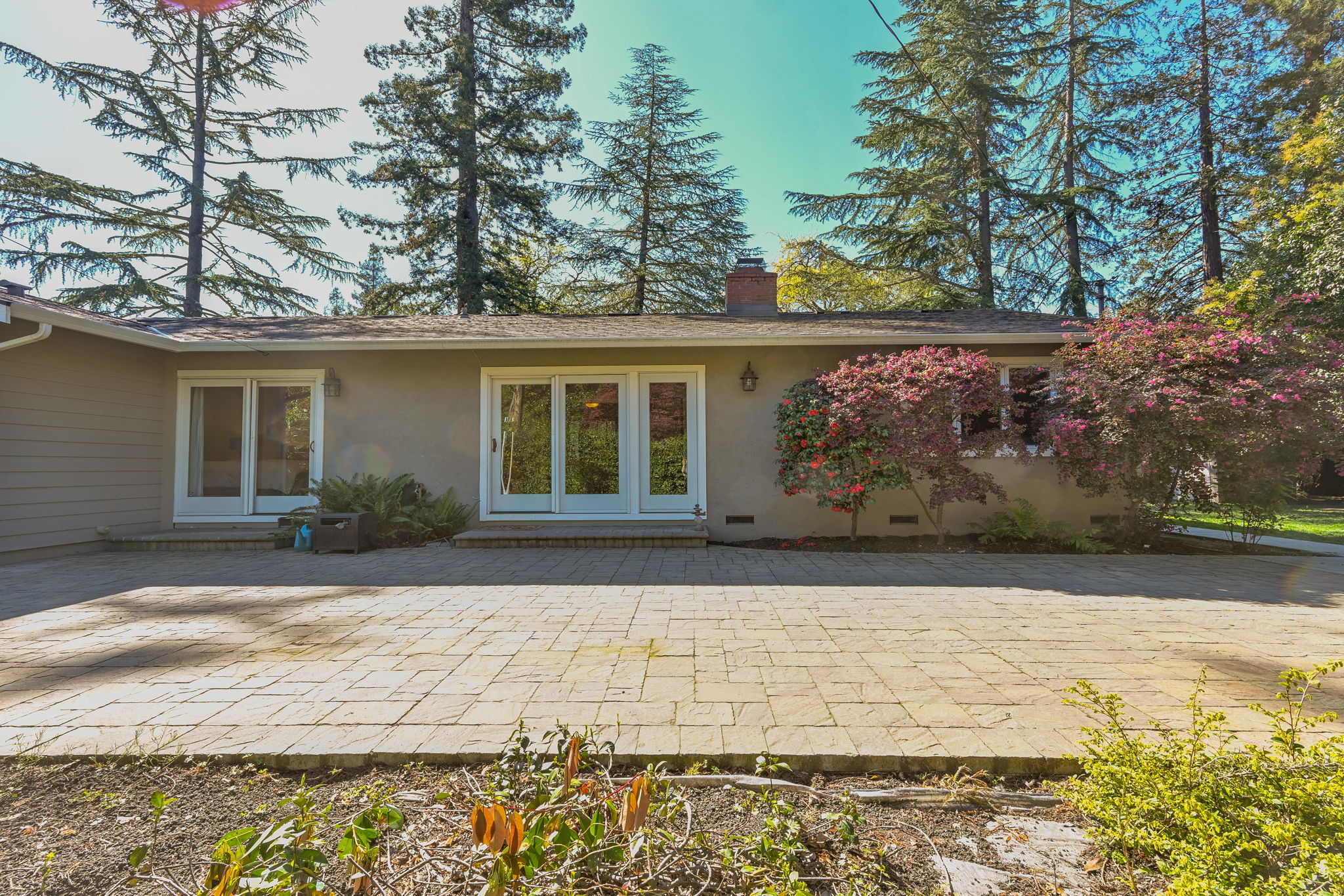 1496 Pine Tree Dr, Alamo, CA 94507 | ALL ACCESS PHOTO