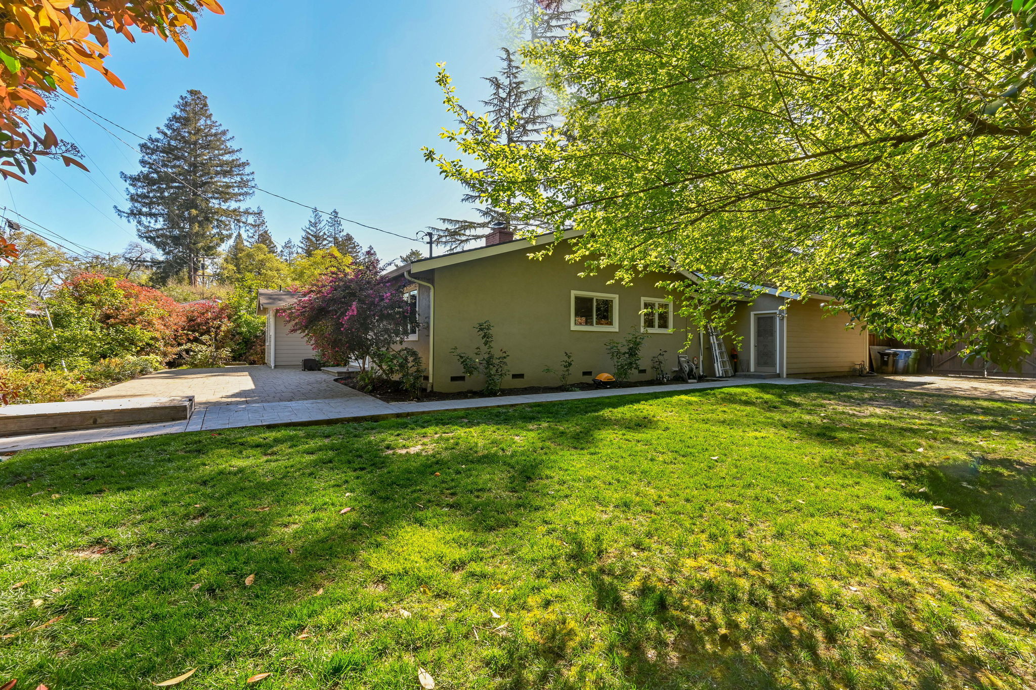 1496 Pine Tree Dr, Alamo, CA 94507 | ALL ACCESS PHOTO