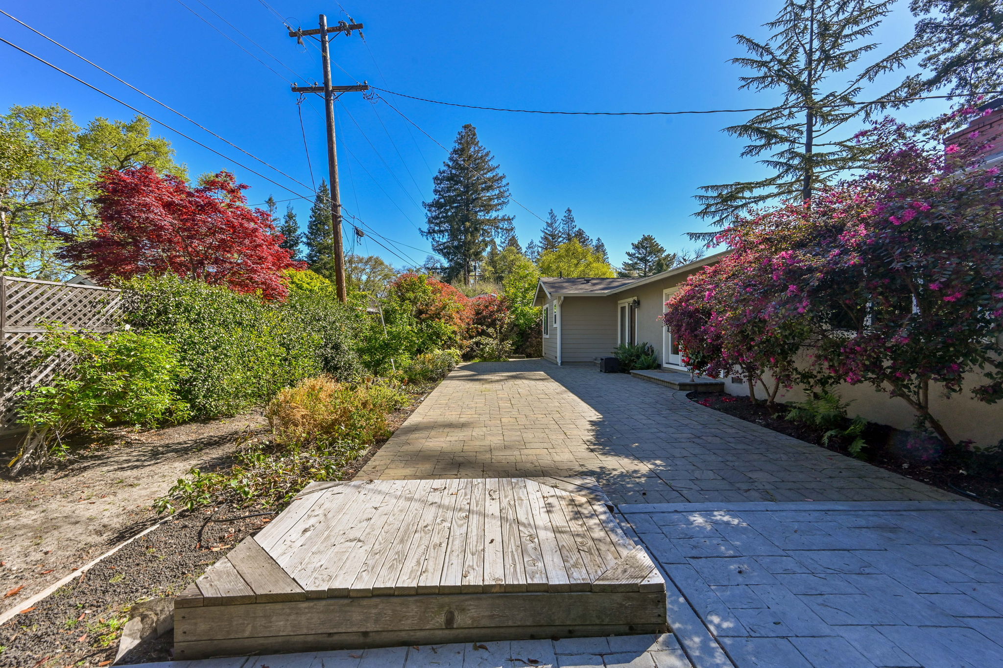 1496 Pine Tree Dr, Alamo, CA 94507 | ALL ACCESS PHOTO