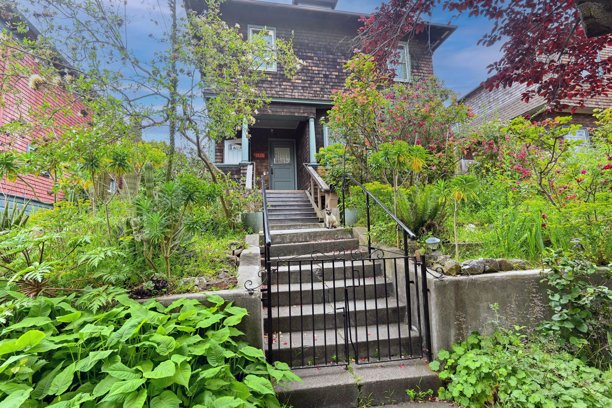 1535 Milvia St, Berkeley, CA 94709 | ALL ACCESS PHOTO