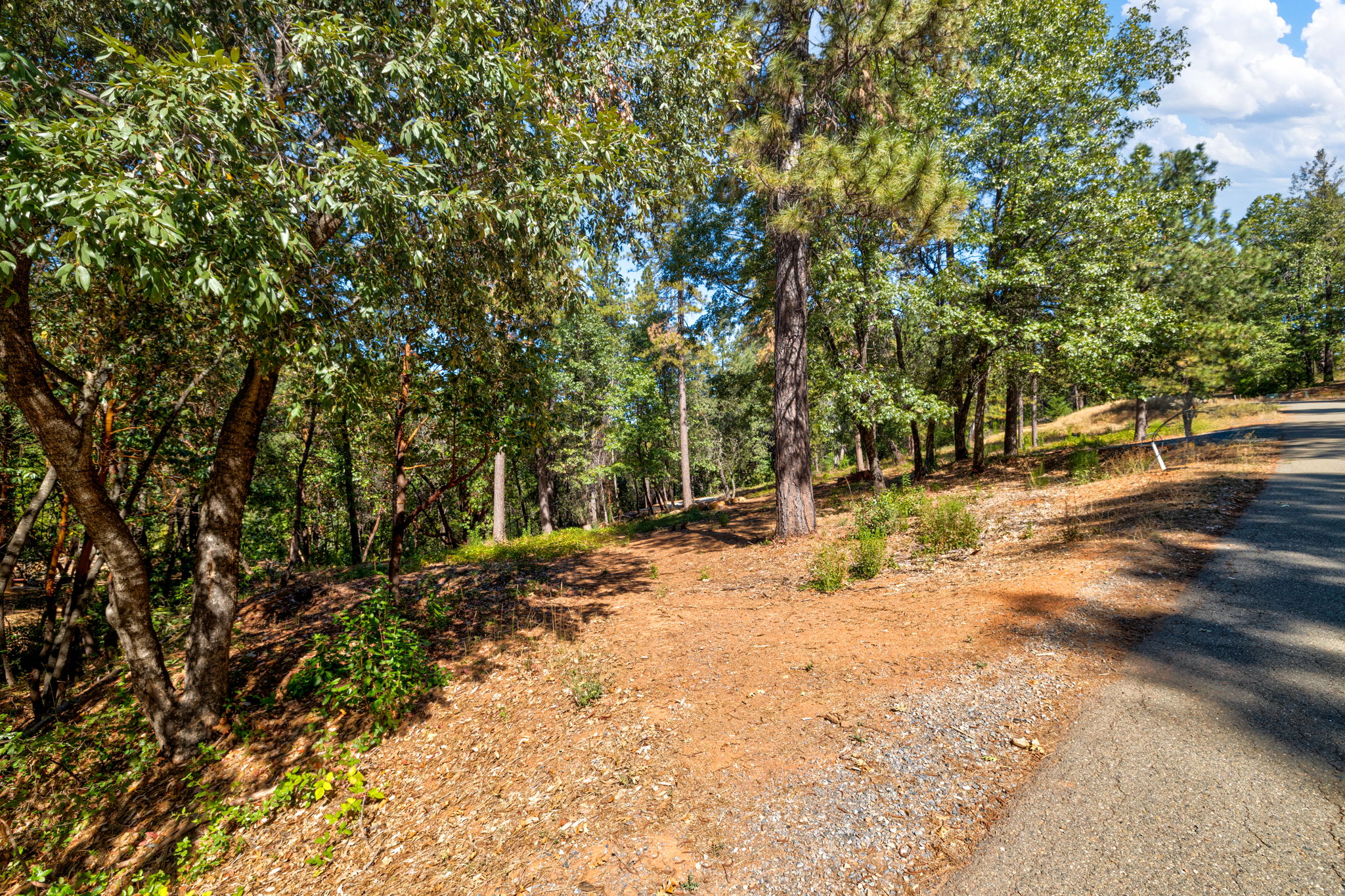 19625 Whitehawk Ridge Ct, Foresthill, CA 95631