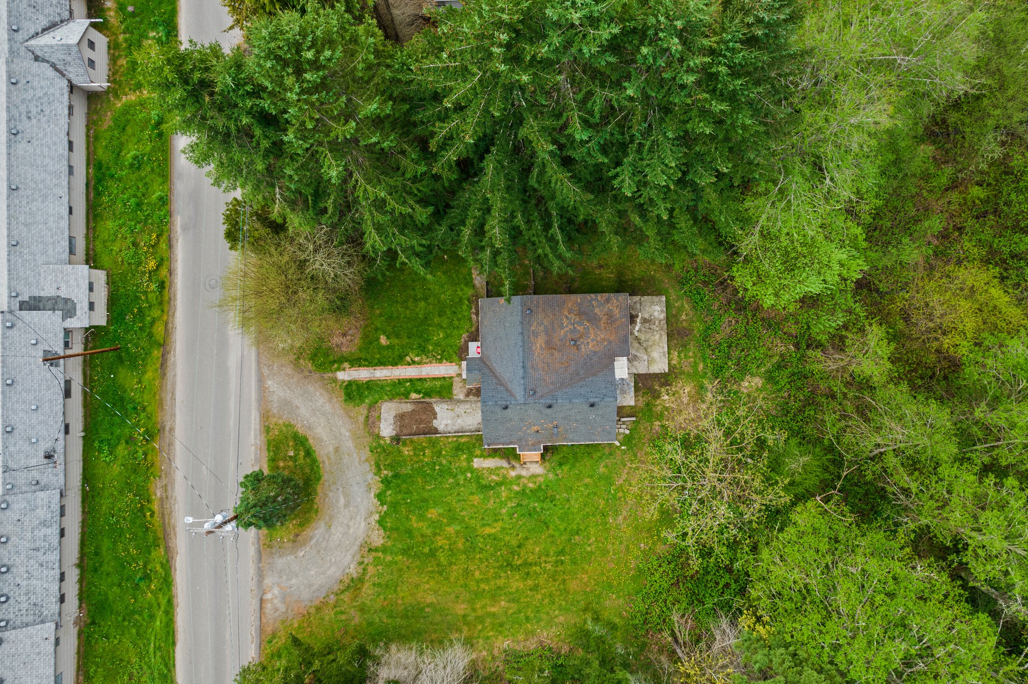 209 Devoe St NE, Olympia, WA 98506 | Luminate Media