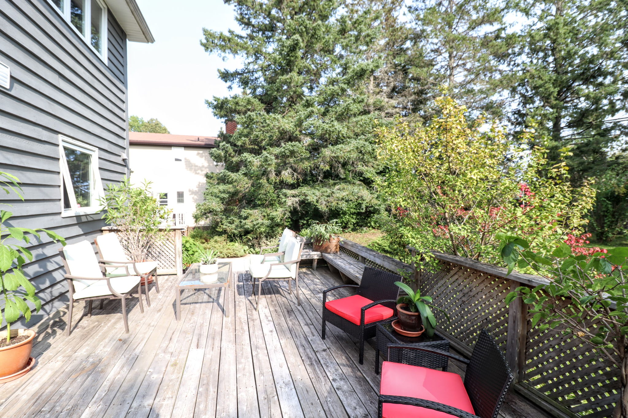 36 Firwood Crescent, Moncton, NB E1A | PROPICSTA & MeasureMySpace