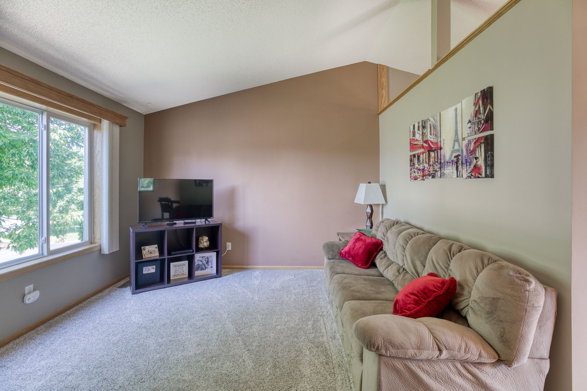 3732 Edith Patch Drive, Anoka, MN 55303 | Excalibur Portraits