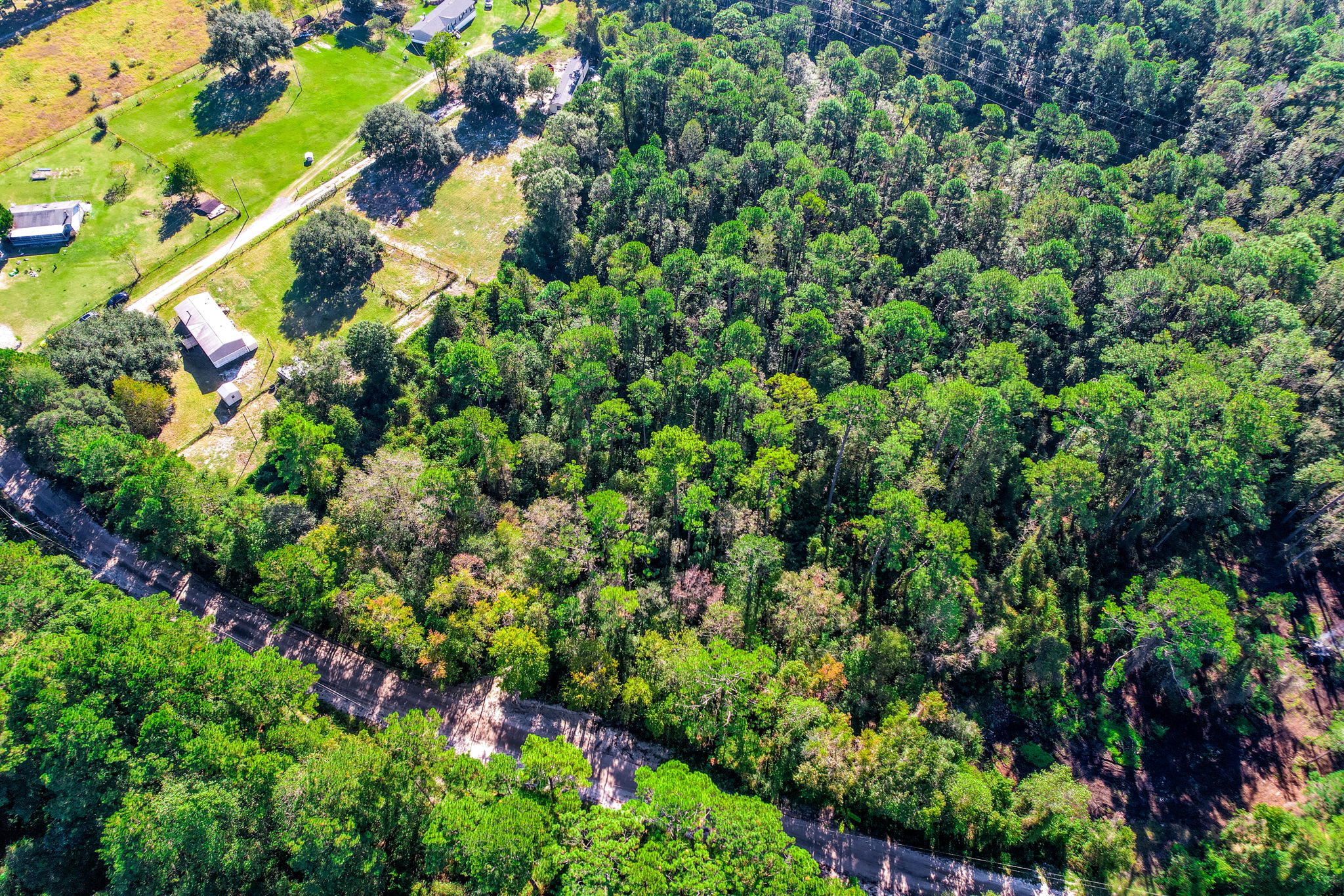 4221 Falcon Run Ln, Middleburg, FL 32068 | ECVT Real Estate Photography