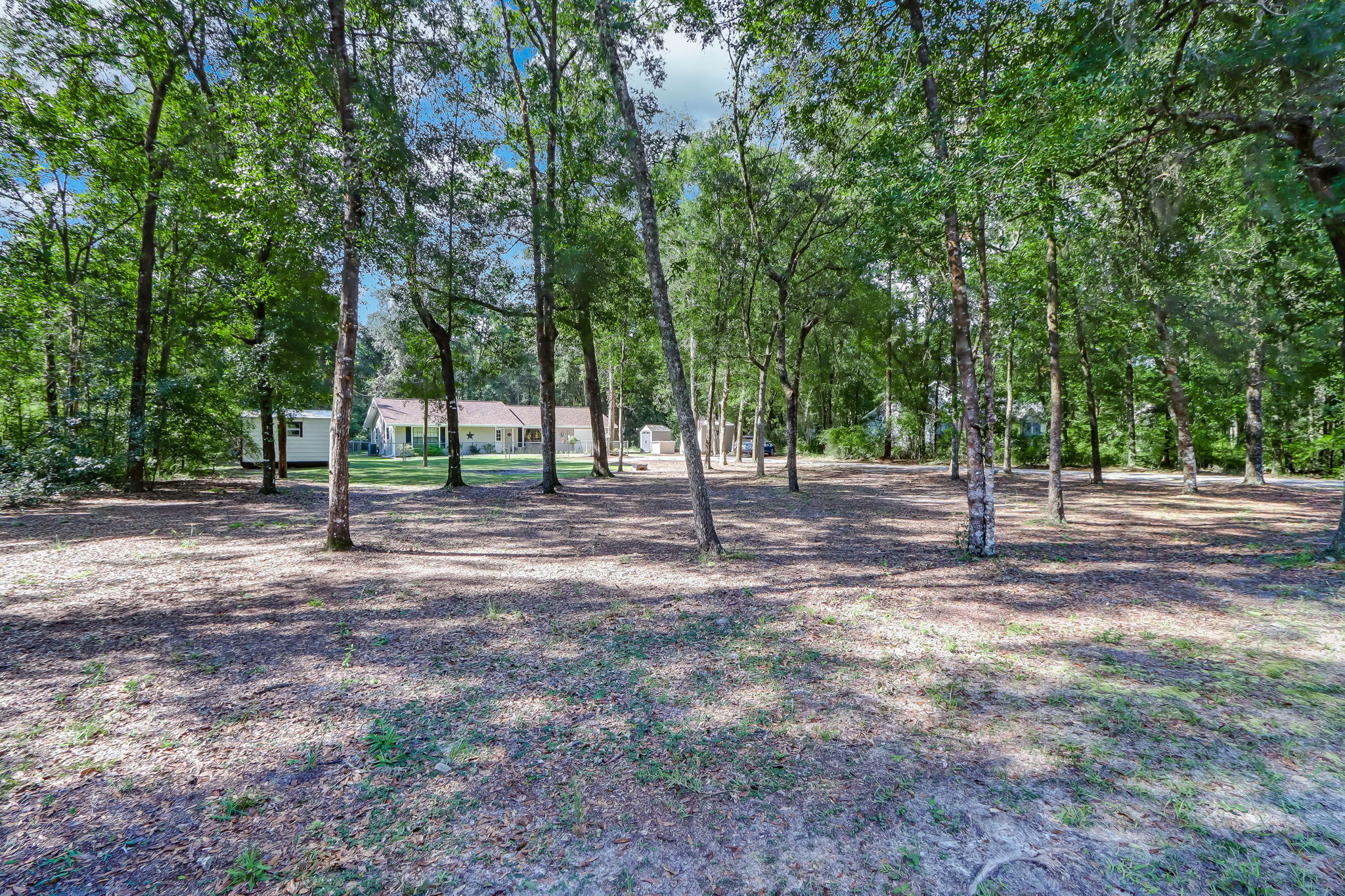4241 Clove St, Middleburg, FL 32068 | ECVT