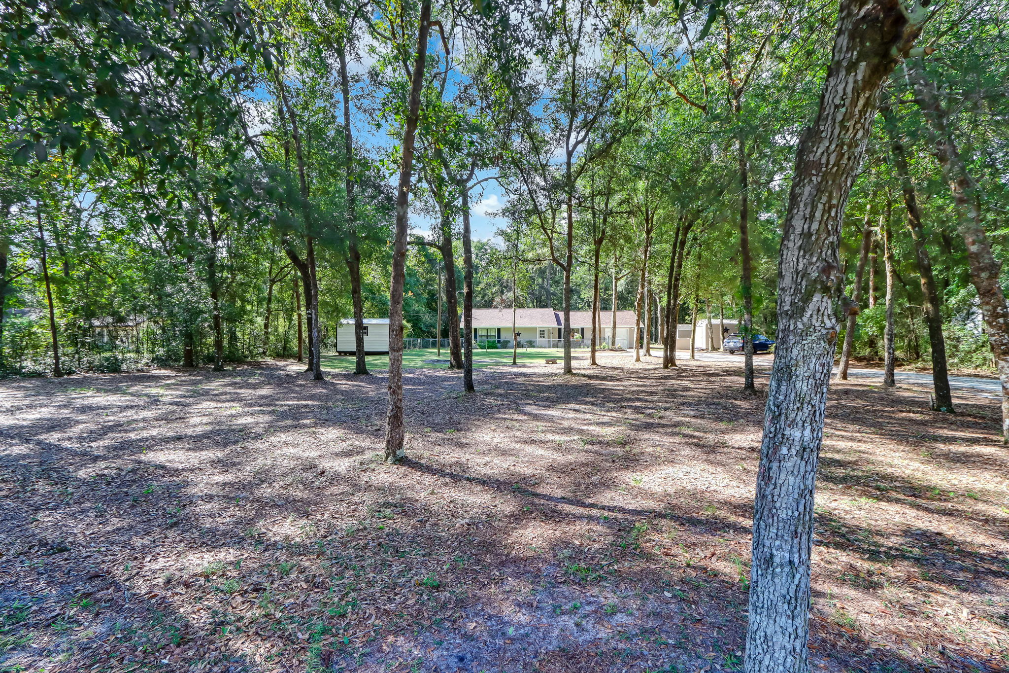 4241 Clove St, Middleburg, FL 32068 | ECVT