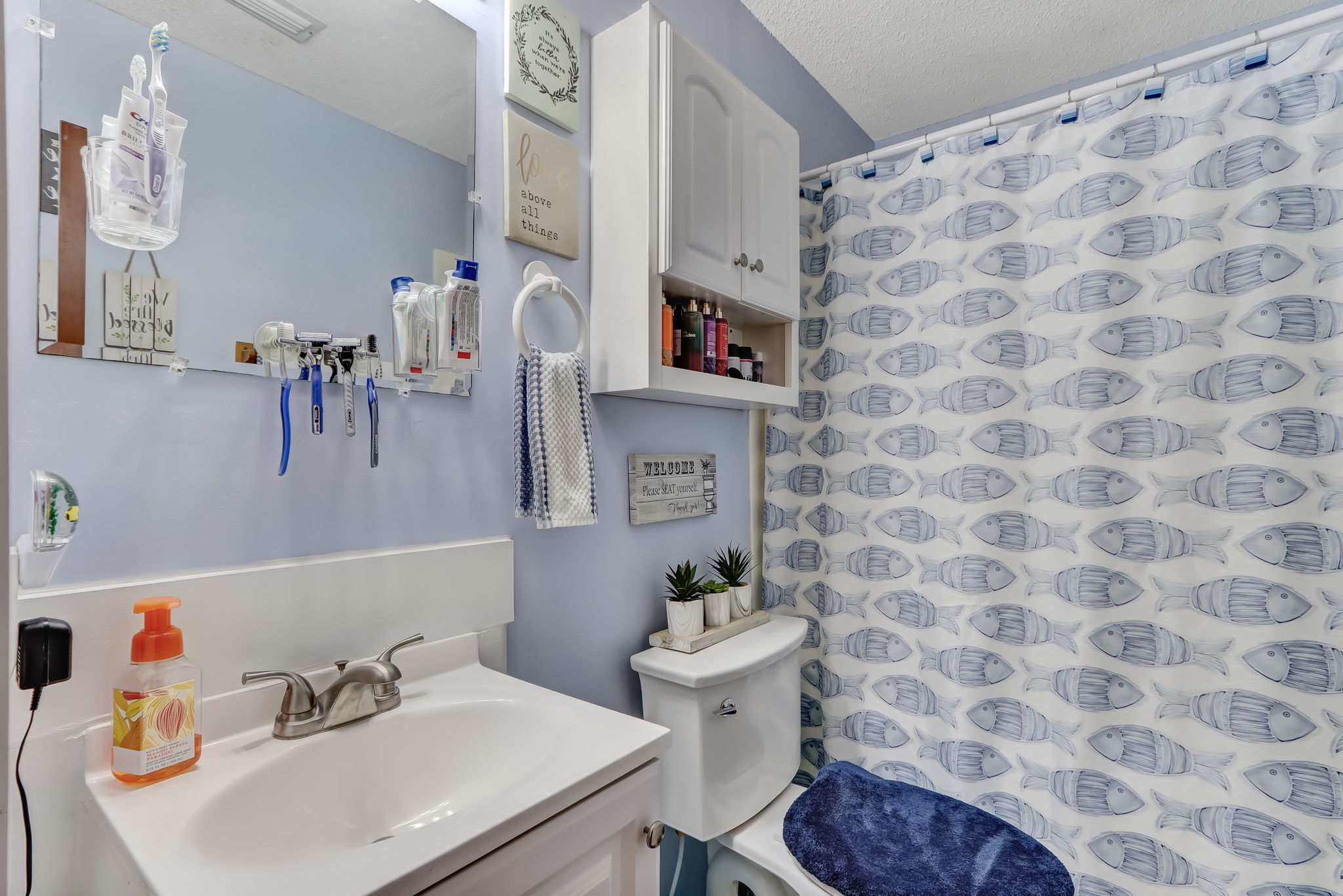 4241 Clove St, Middleburg, FL 32068 | ECVT