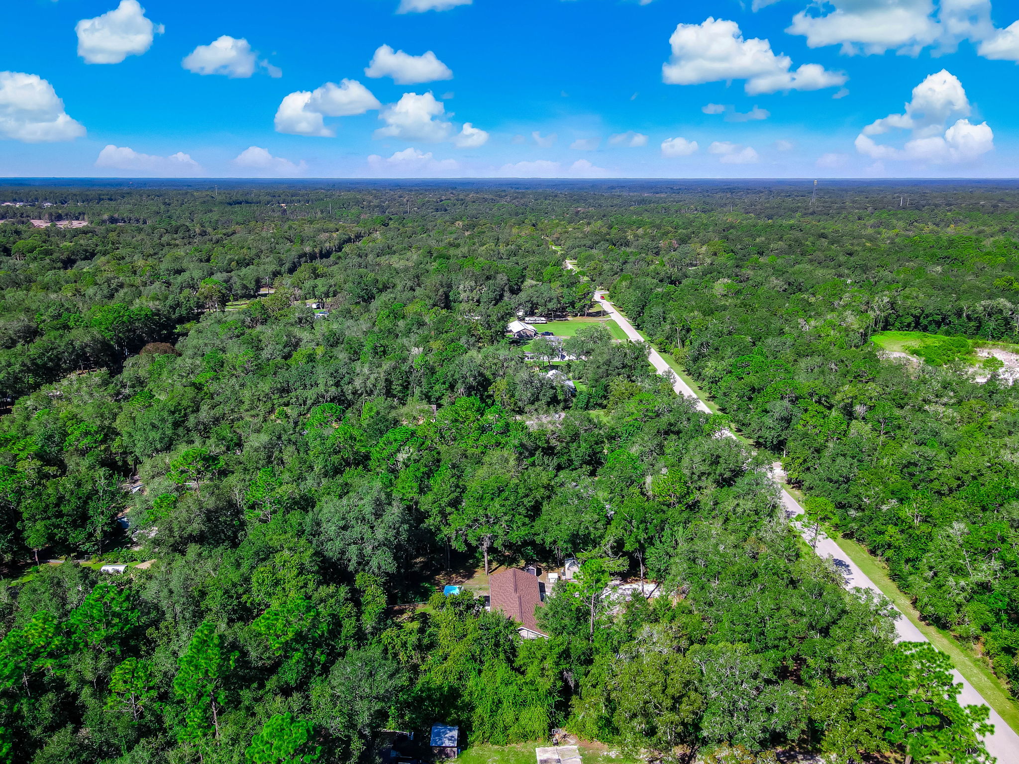 4241 Clove St, Middleburg, FL 32068 | ECVT