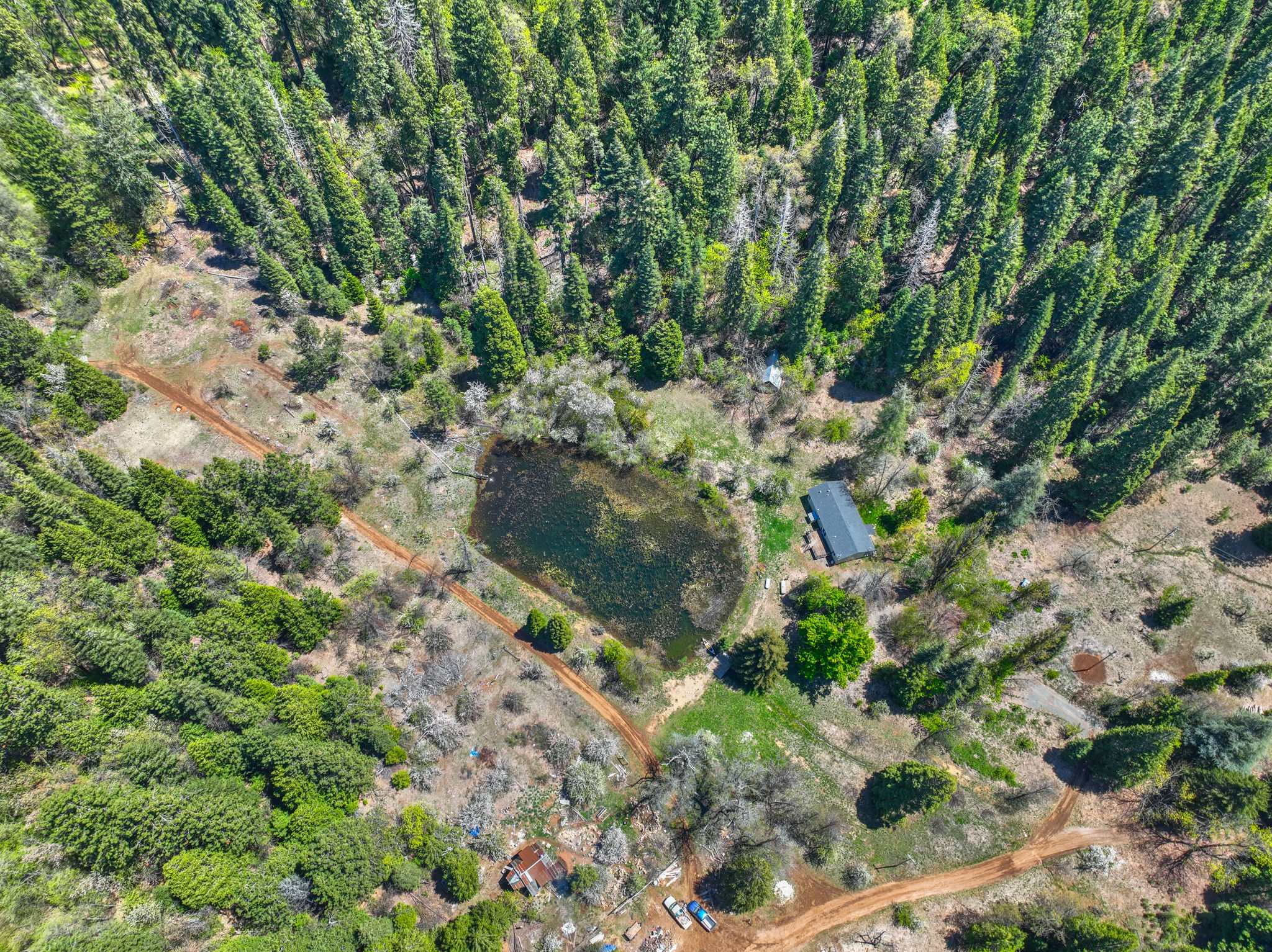 440 Caine Rd, Alta, CA 95701 | UL Real Estate Media