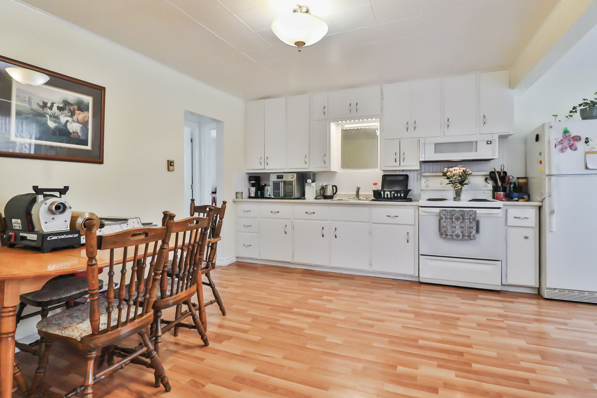 49 Back, Havelock, NB E4Z 5K6 | PROPICSTA & MeasureMySpace