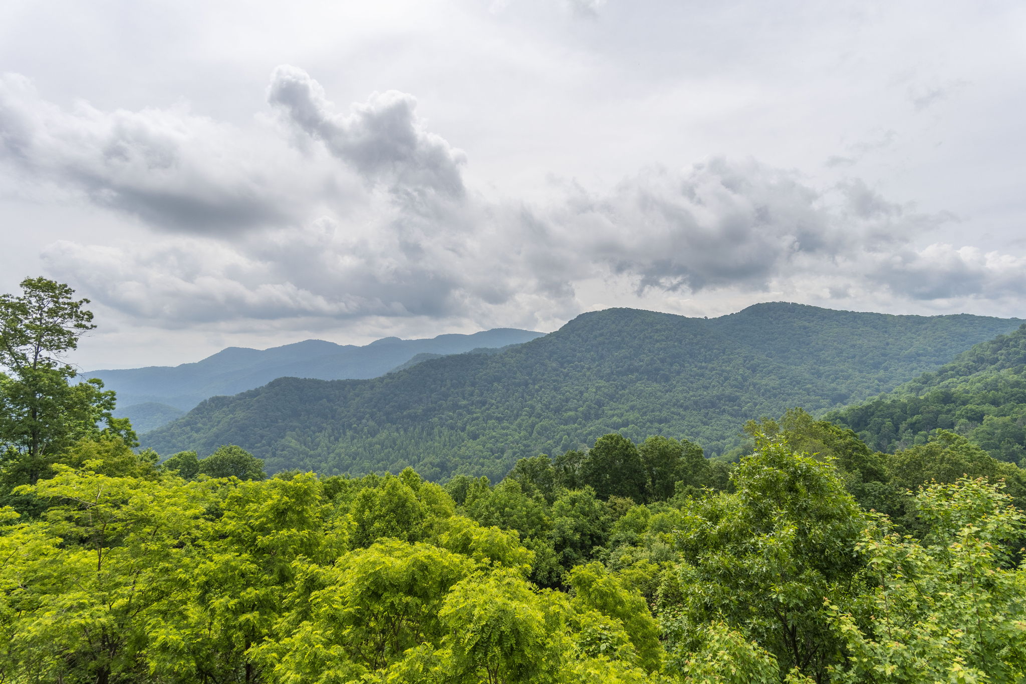 60 Hanuman Tr 5A, Clyde, NC 28721 | TCMPhotos