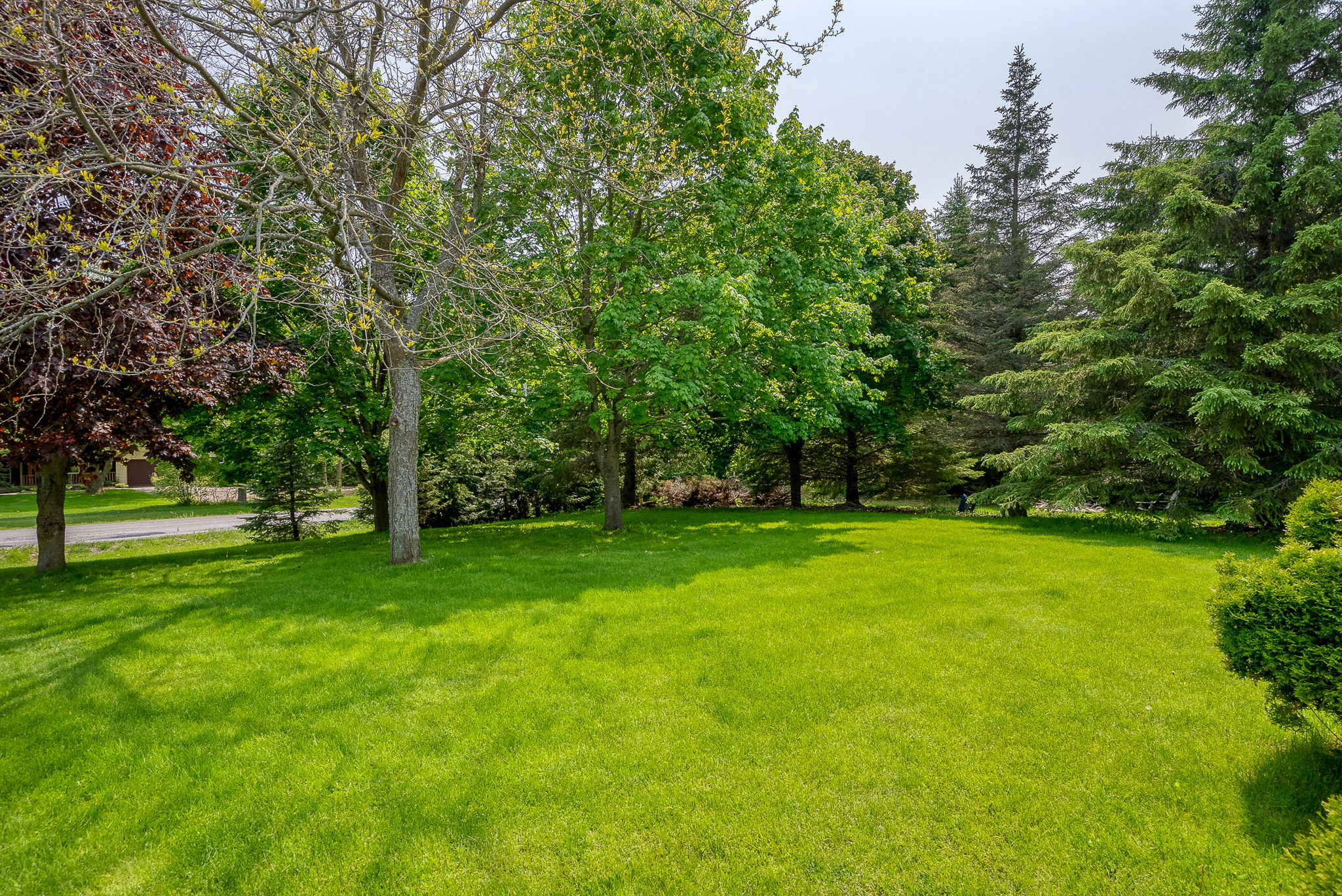 540 Dingman Rd Castleton | InsideOut Media