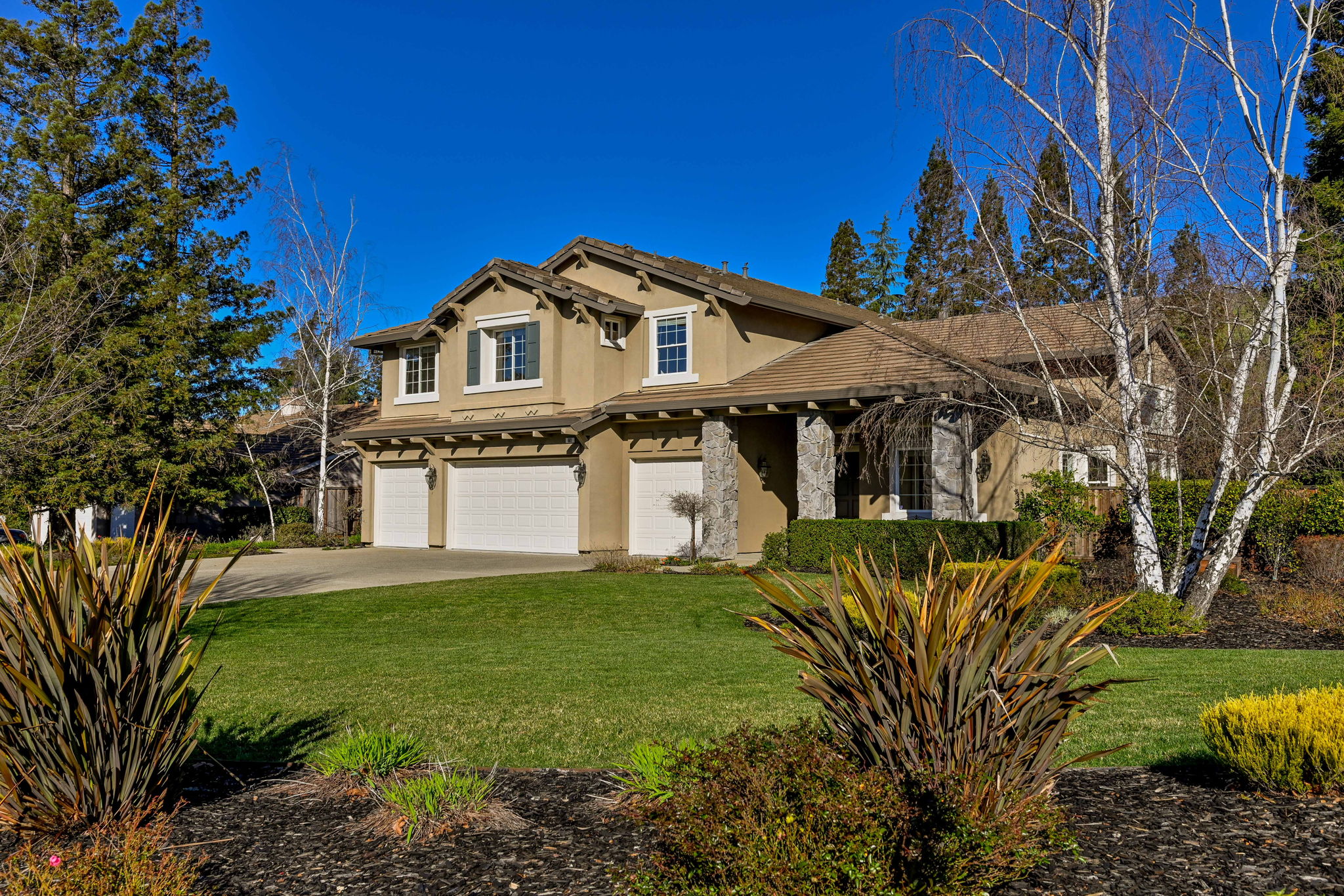 601 Young Ct, Alamo, CA 94507 | ALL ACCESS PHOTO