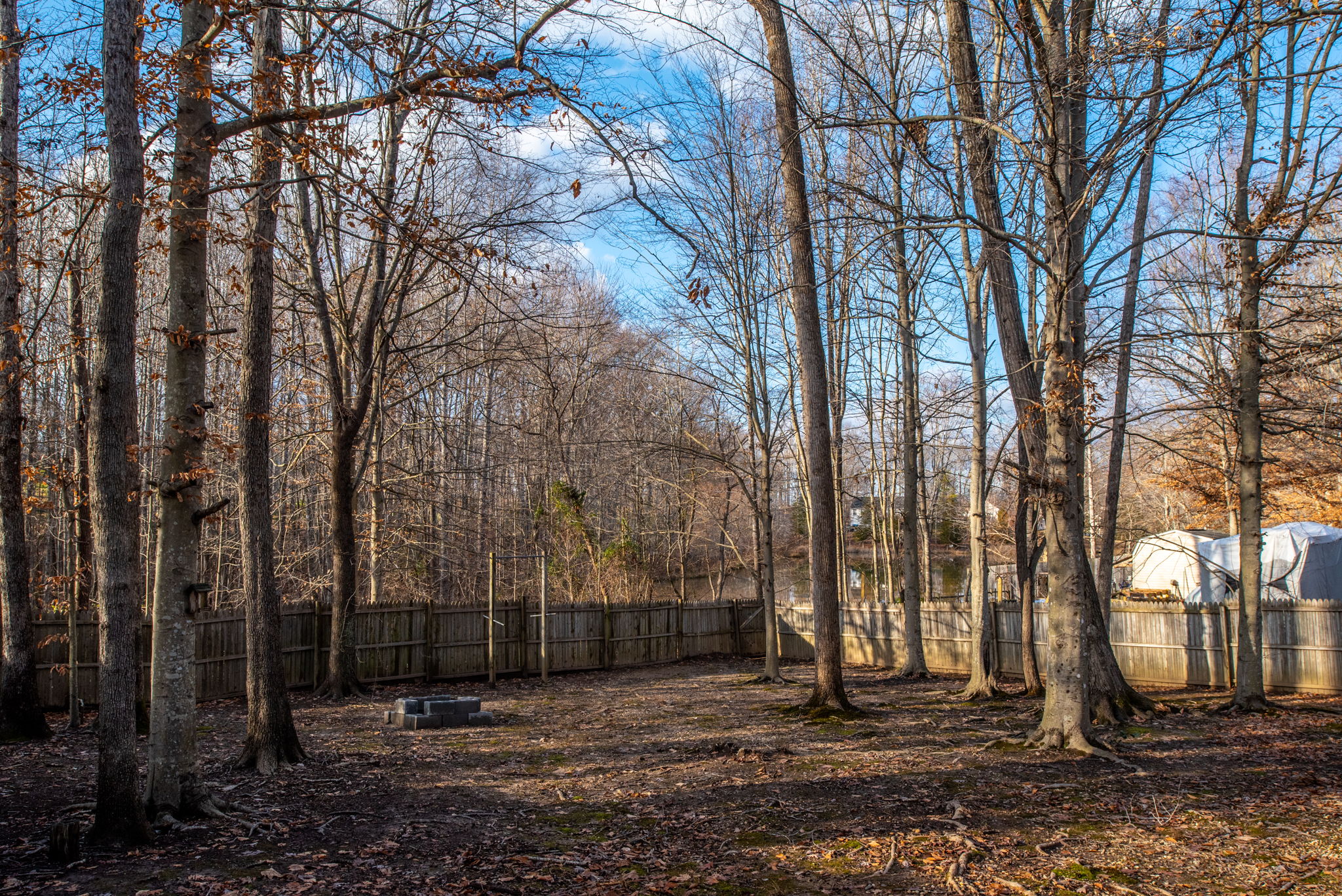 6320 Plantation Forest Dr, Spotsylvania Courthouse, VA 22553 | Cynthia James Photography LLC