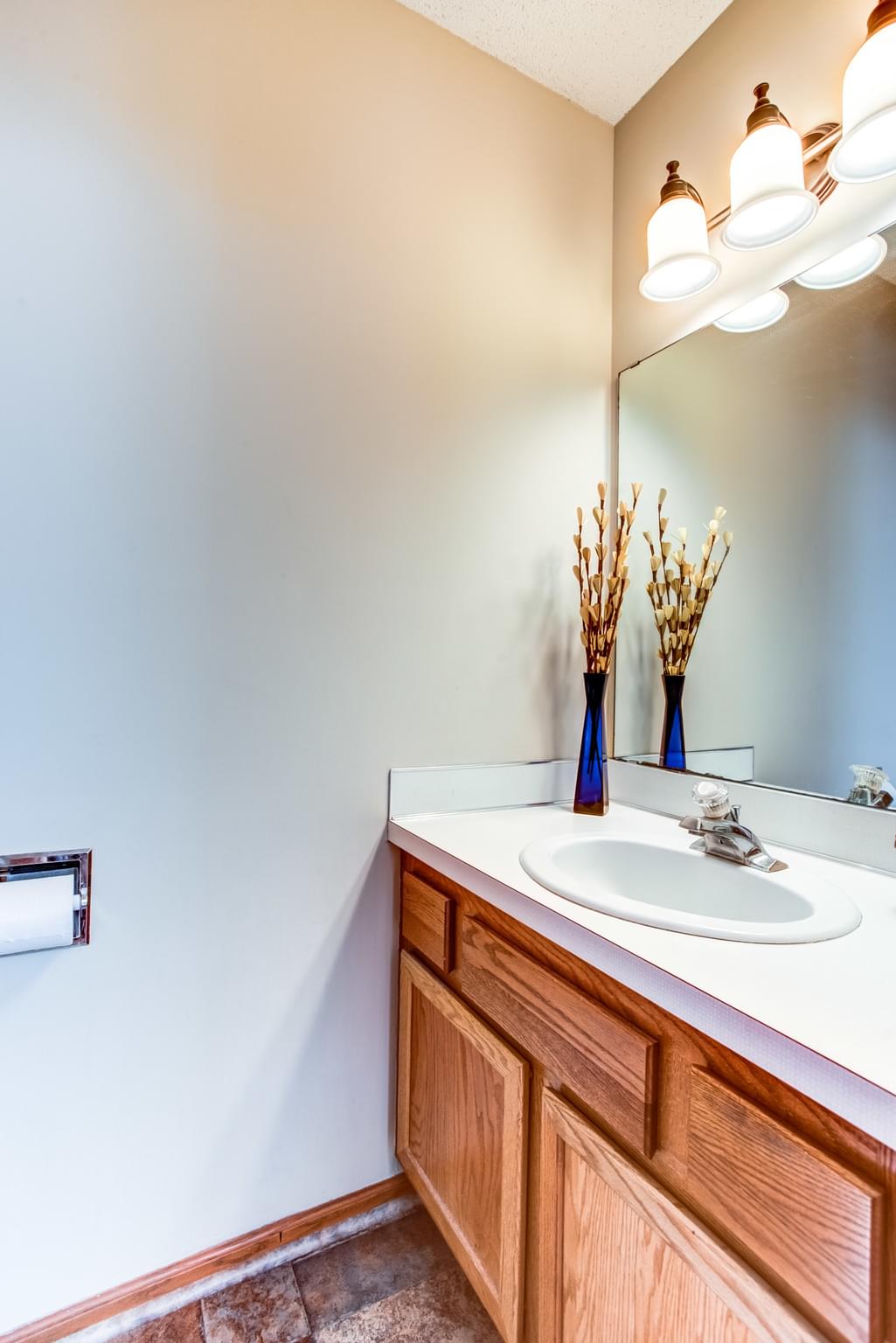 7639 Nicholas Way, Chanhassen, MN 55317 | BrightSpaces Photography