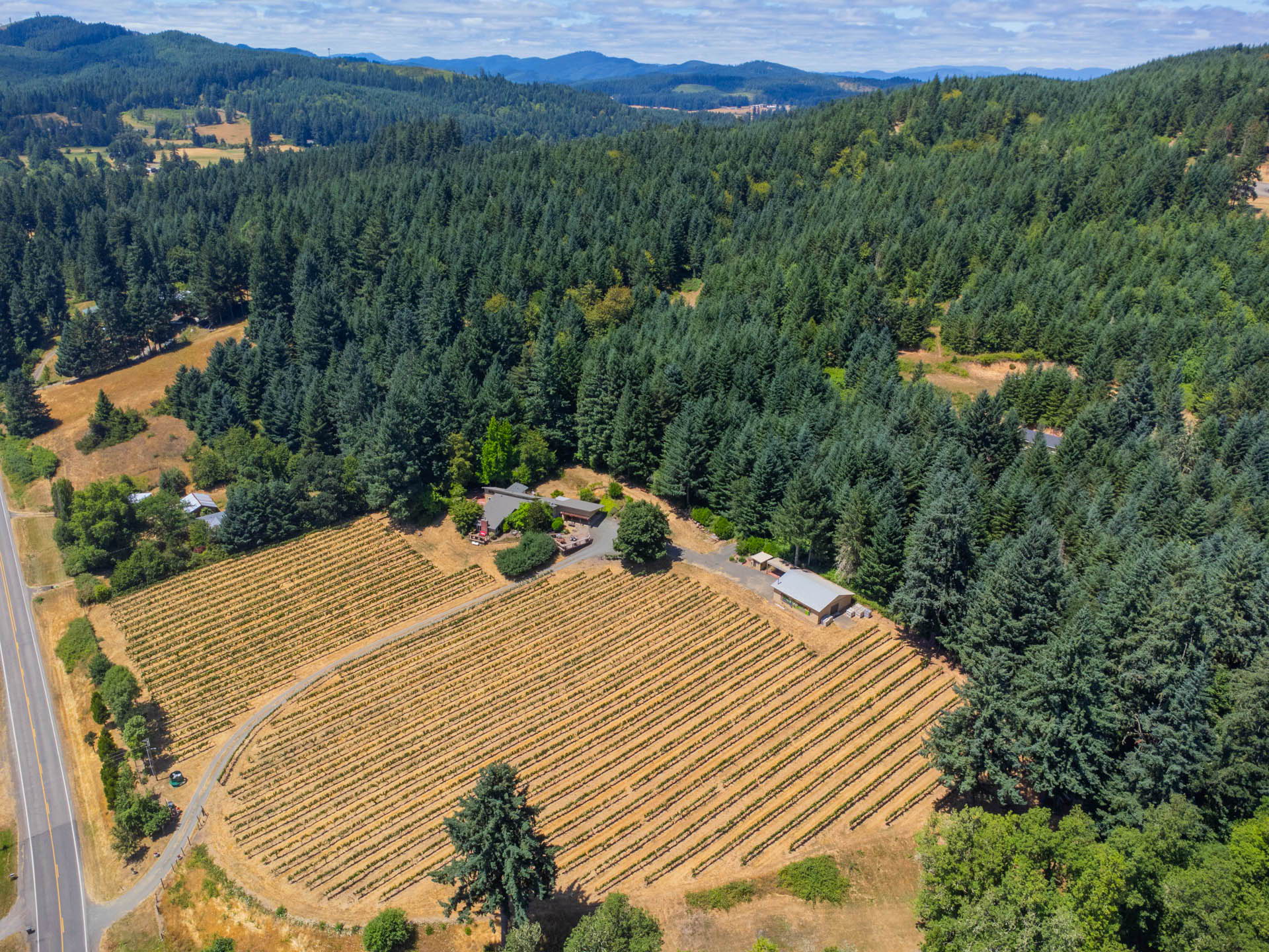 85083 Territorial Hwy, Eugene, OR 97402 | Northwest Photography & Media