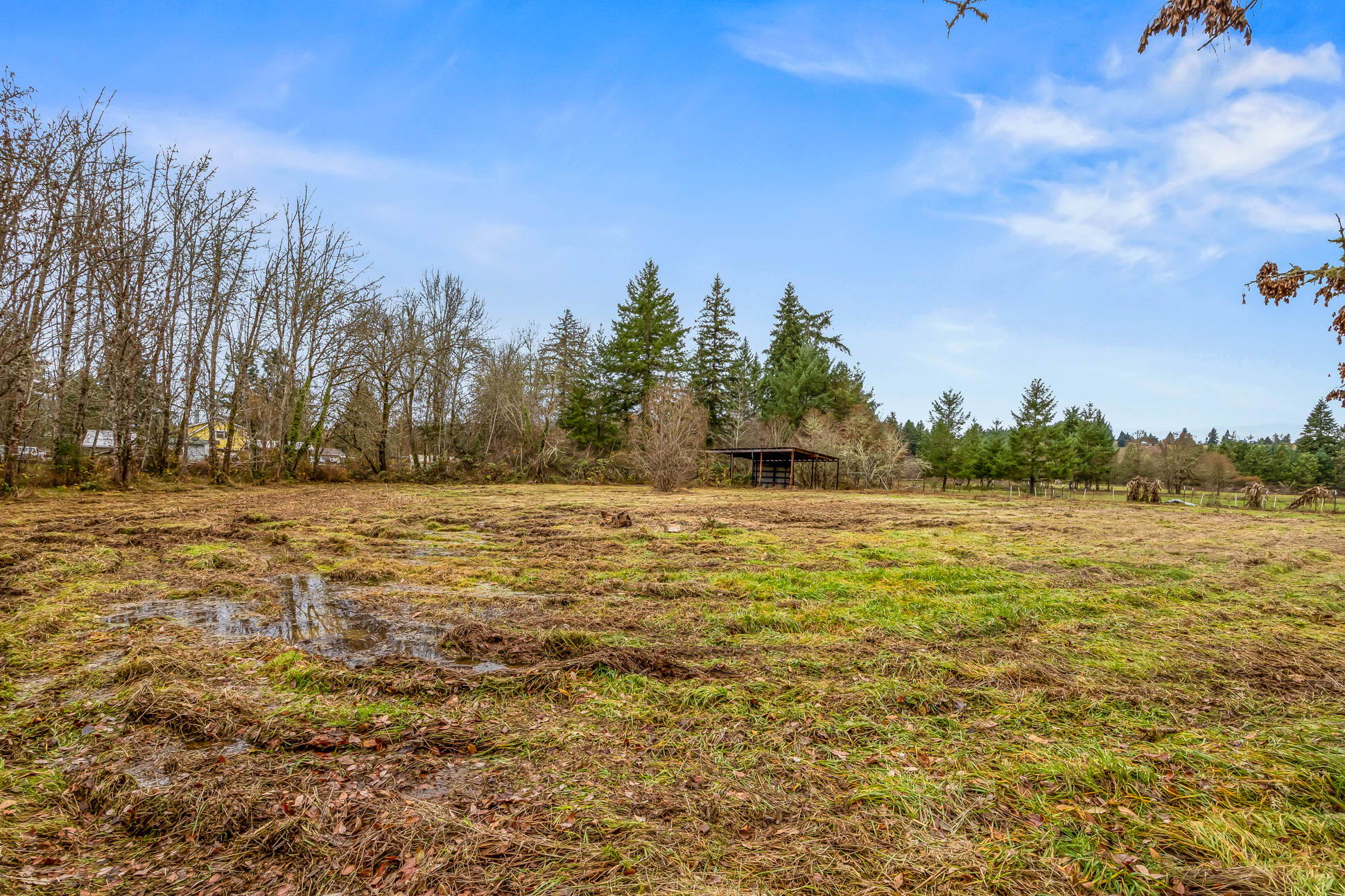 87502 Territorial Hwy, Veneta, OR 97487 | Northwest Photography and Media