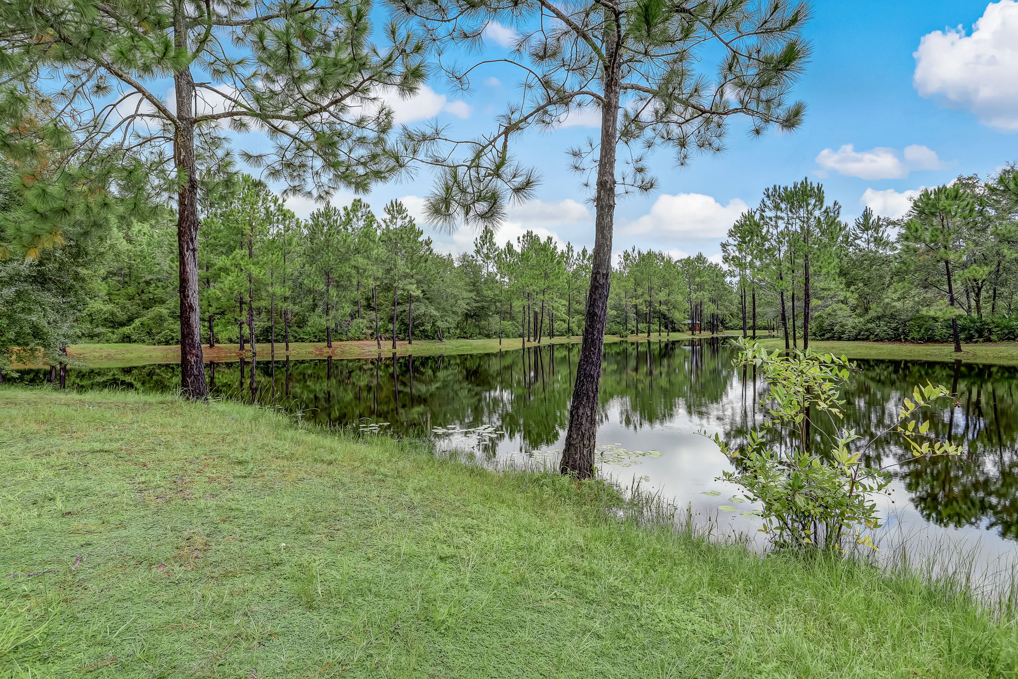 95146 Cypress Trail, Fernandina Beach, FL 32034 | ECVT Real Estate Photography