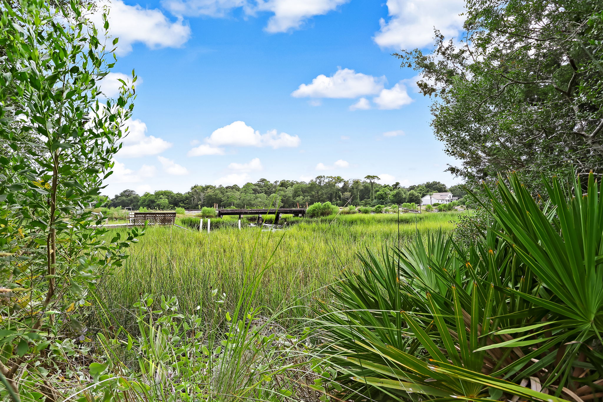 96015 Barnwell Ct, Fernandina Beach, FL 32034 | ECVT