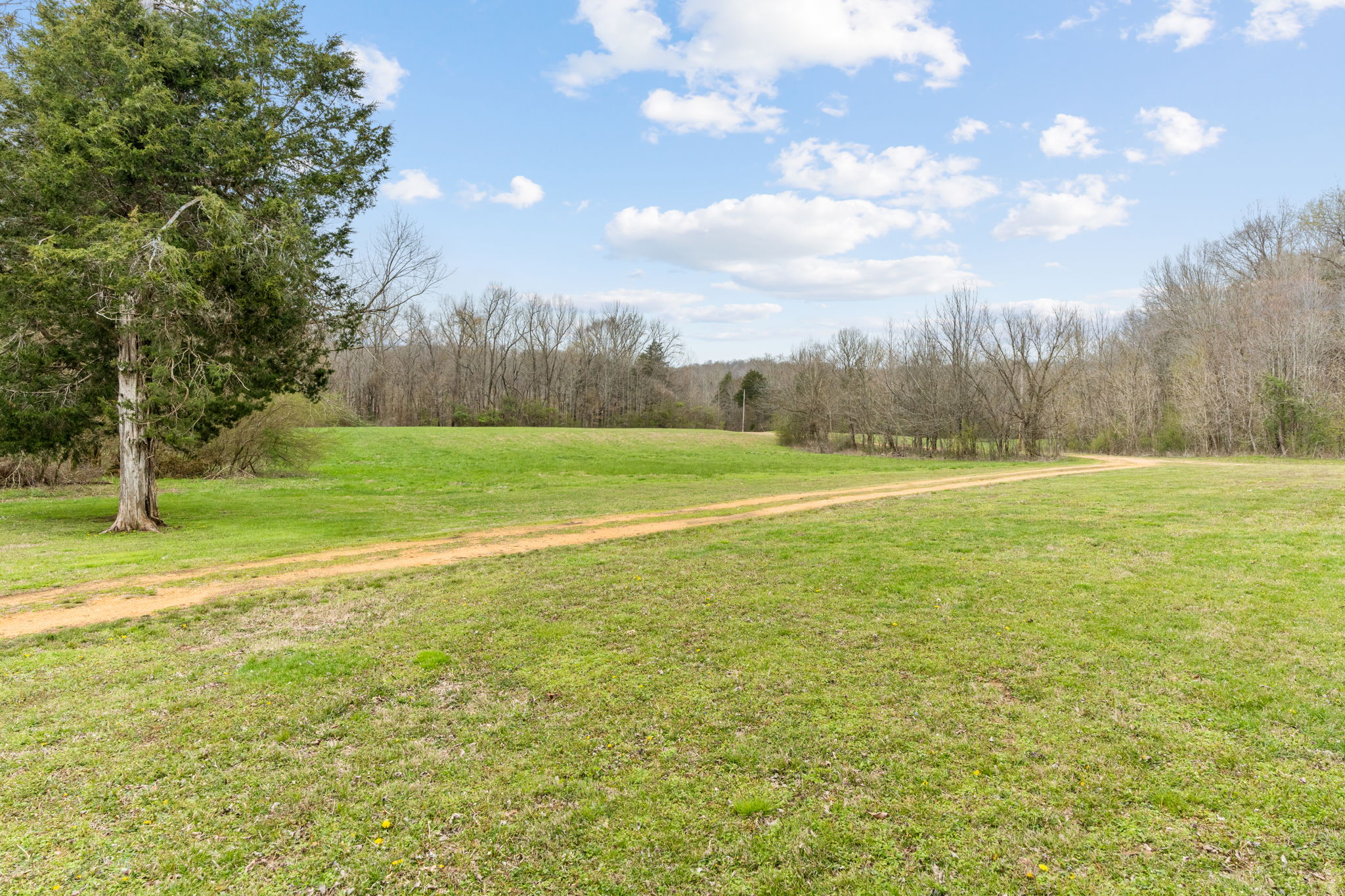 0 Buffalo Bottom Road, Linden TN 37096 | Pixel Crew