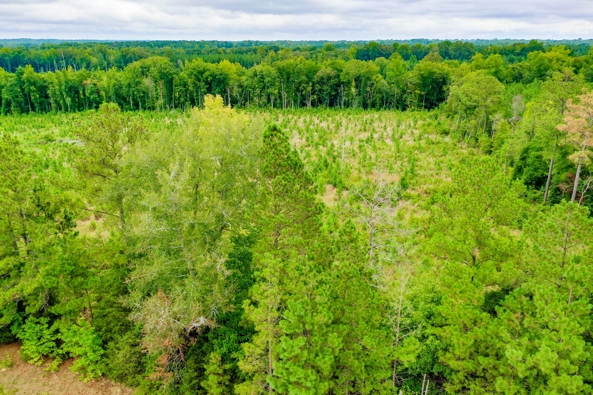 0 Coleman Rd, SC 29325 | Ventress Group LLC 0 Coleman Rd, SC 29325 | Ventress Group LLC