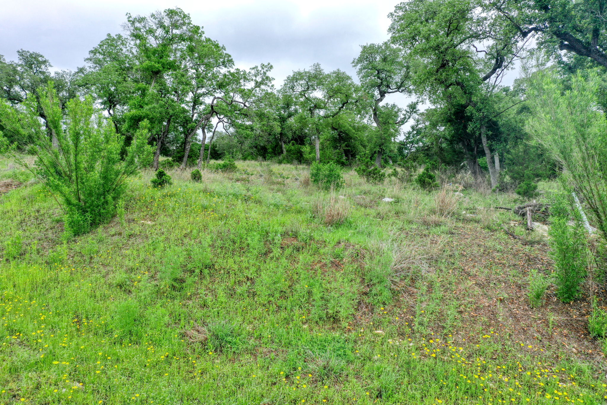 Lakeview Estate Drive Lot 16, Morgans Point Resort, TX 76513 | Wykes ...