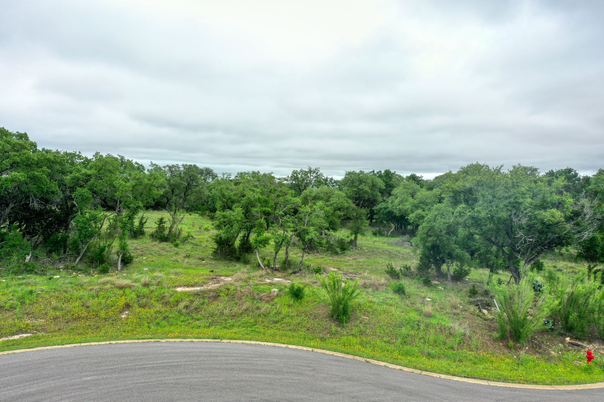 Lakeview Estate Drive Lot 16, Morgans Point Resort, TX 76513 | Wykes ...