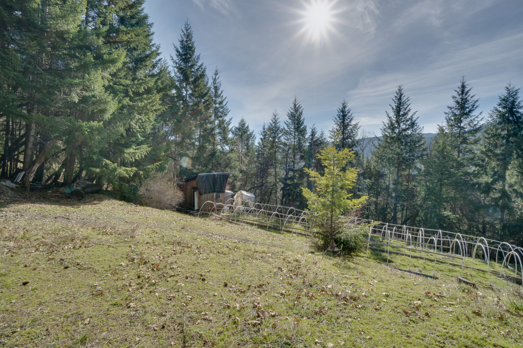 Score your Hunters Retreat and off Grid Homestead Now | Sarah Wagner Photo